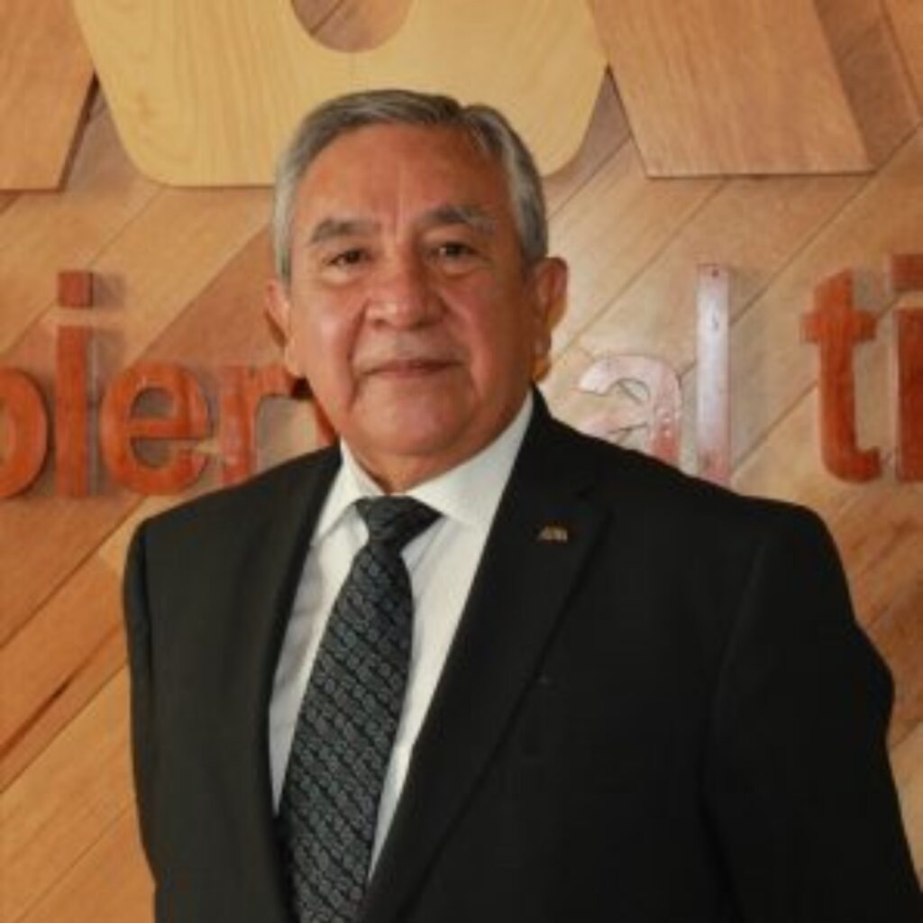 Consejo ANES - anes.org.mx